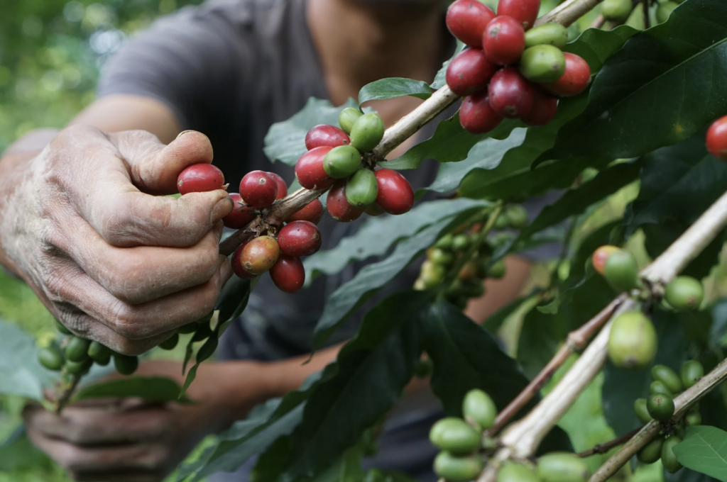 Simple and Bold | Interfaith Families Project of Washington D.C.